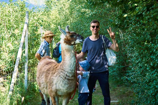 Trecke mit einem Lama durch die Berge Südtirols | Reisevergnügen