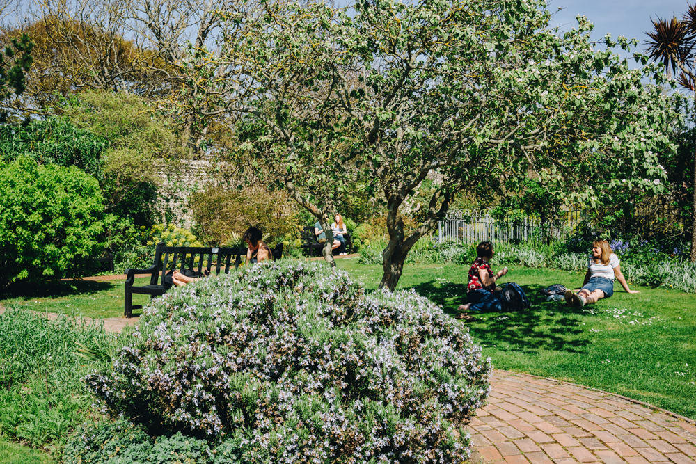 Picknick in den Kipling Gardens in Rottingdean | Reisevergnügen