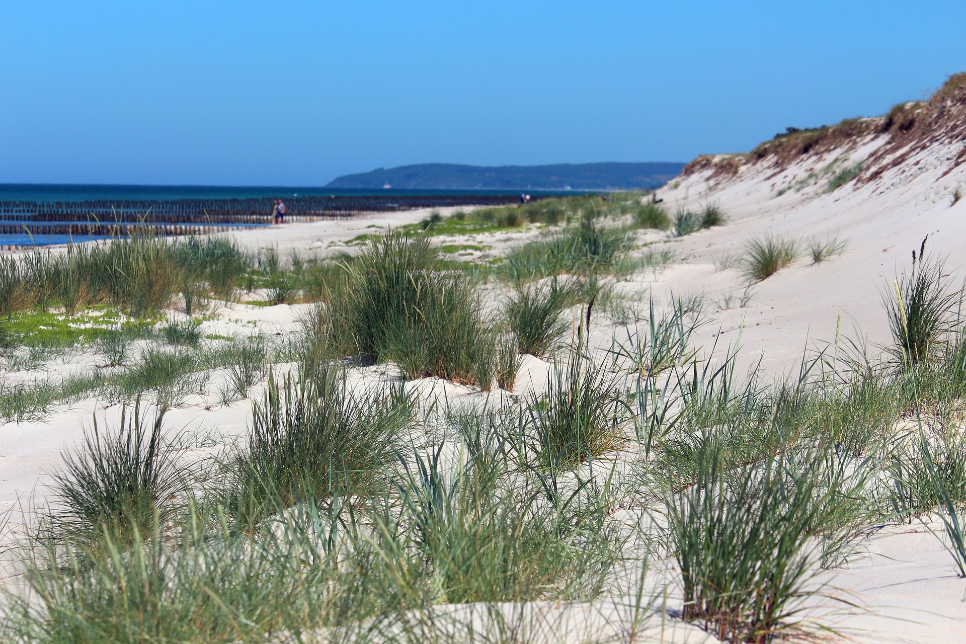 Besuche die autofreie Insel Hiddensee | Reisevergnügen