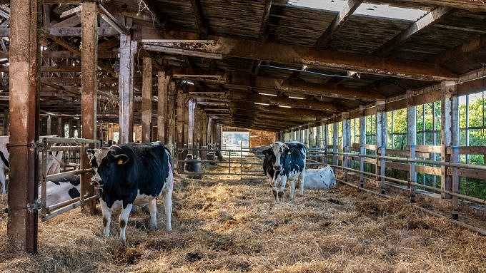 Zu Gast im Ökodorf Brodowin: Nachhaltige Landwirtschaft & Tourismus im ...