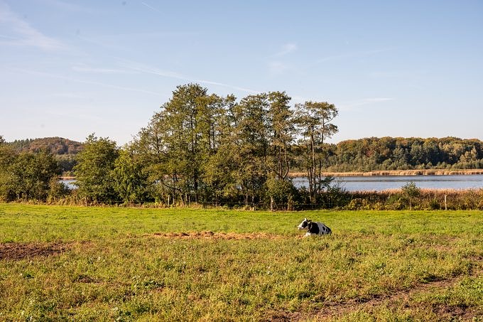 Zu Gast im Ökodorf Brodowin: Nachhaltige Landwirtschaft & Tourismus im ...