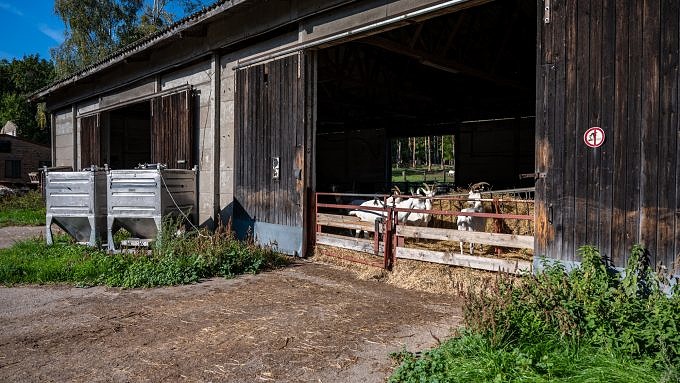 Zu Gast im Ökodorf Brodowin: Nachhaltige Landwirtschaft & Tourismus im ...