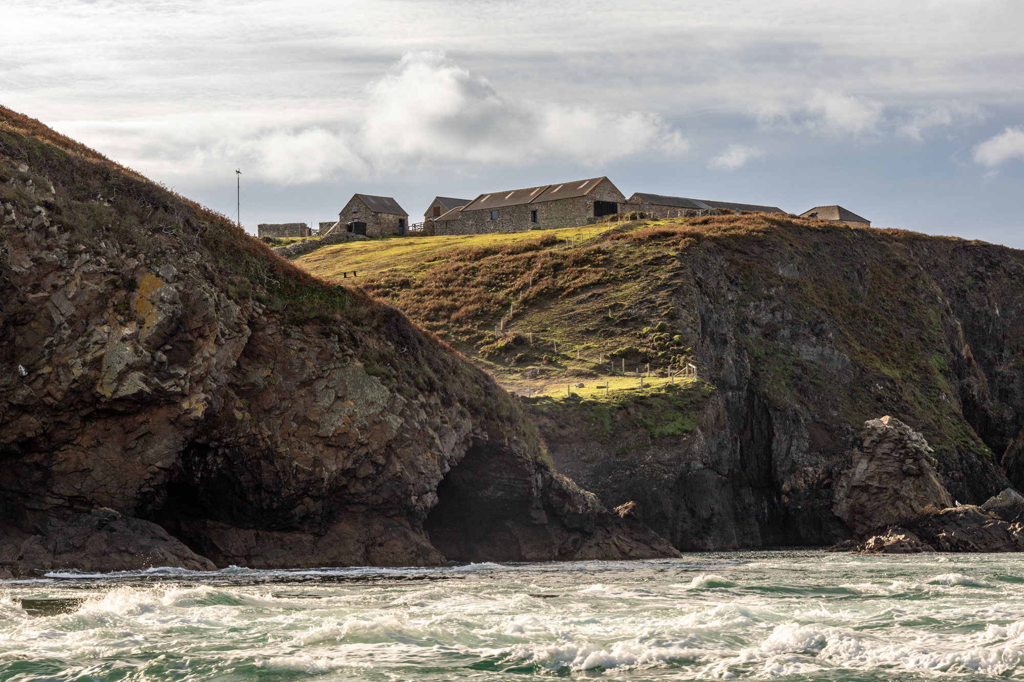 Besuche die Robben der Ramsey Insel auf einer Bootstour | Reisevergnügen